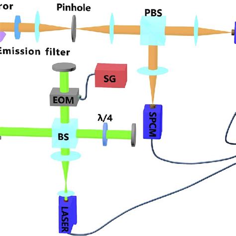 Schematic View Of The Confocal Fluorescence Imaging System Excited By Download Scientific
