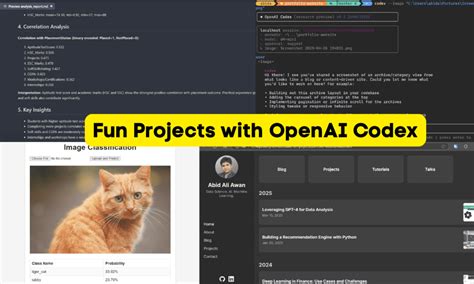 Building Fun Projects With Openai Codex Dss Solutions