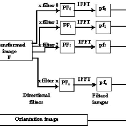 Algorithm For Fingerprint Enhancement Download Scientific Diagram