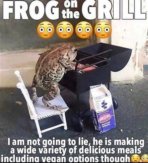 Frog Irl Scrolller