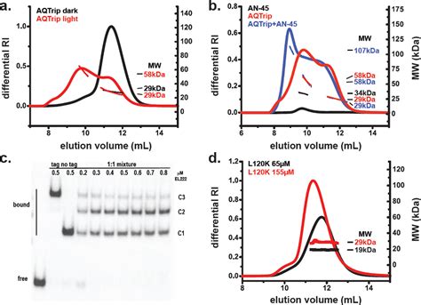 Figure 2 From Blue Light Induced Dimerization Of A Bacterial Lov Hth