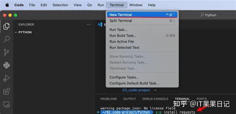 如何使用 Python 调用 Deepseek R1 Api？ 知乎