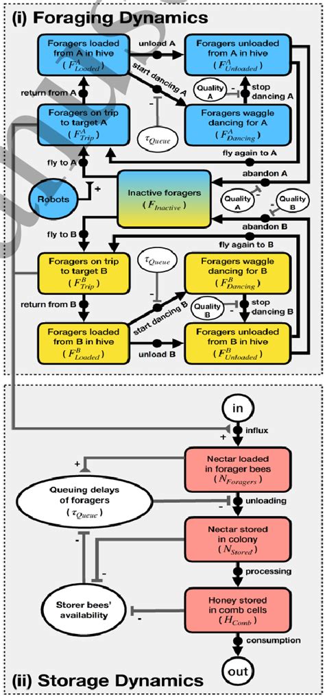 Stock And Flow Diagram Of The Main Model Variables Boxes Stocks Download Scientific Diagram