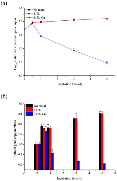 Calculated Ratio Of Gene Copy Numbers On Each Coupon Mean Values And