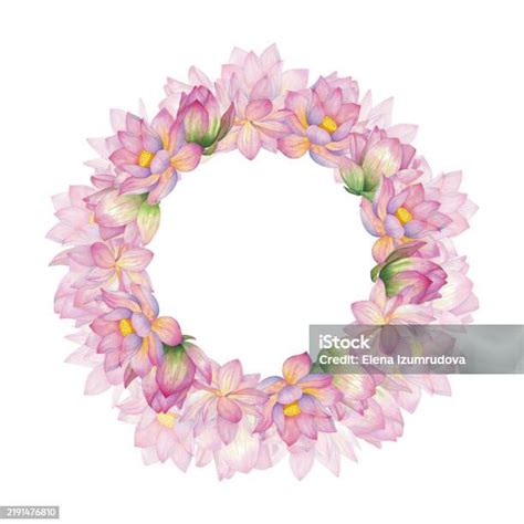 분홍색 연꽃 새싹 및 꽃 둥근 프레임 화 환 배경에 고립되어 있습니다 수채화 그림입니다 Blank 디자인 장식 및 인쇄 타이포그래피 및 엽서용 0명에 대한 스톡 벡터 아트