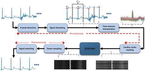 Arash Rasti Meymandi