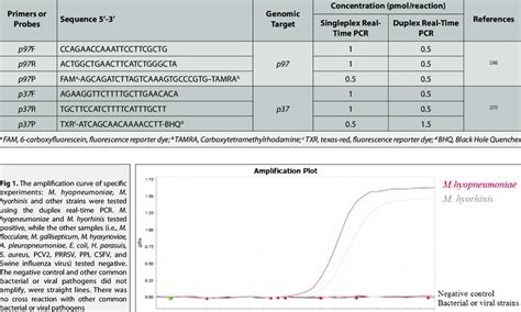 The Primers And Probes Selected For Singleplex And Duplex Real Time Pcr