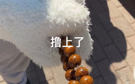 七八年前的星月撸开片了 哔哩哔哩 bilibili