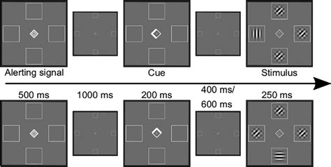 Illustration Of The Spatial Cueing Paradigm In The Upper Row A Valid