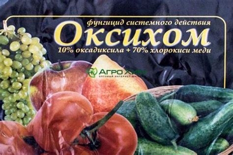 Фунгицид Цихом: инструкция по применению и состав, дозировка и аналоги