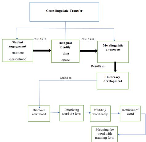 Non Linguistic Frameworks To Analyze The Conceptual Transfer Download Scientific Diagram