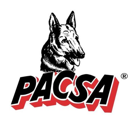 Pacsa👟 Tiktok Linktree