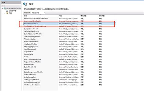 在iis上部署你的aspnet Core 21项目 幽谷清水 博客园
