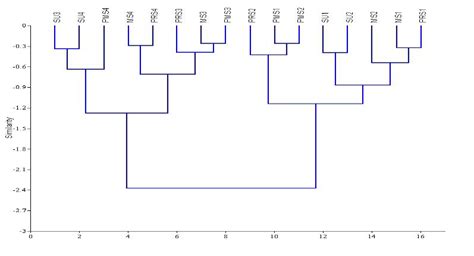 Dendrogram Based On Wards Method Clustering For Four Stations In