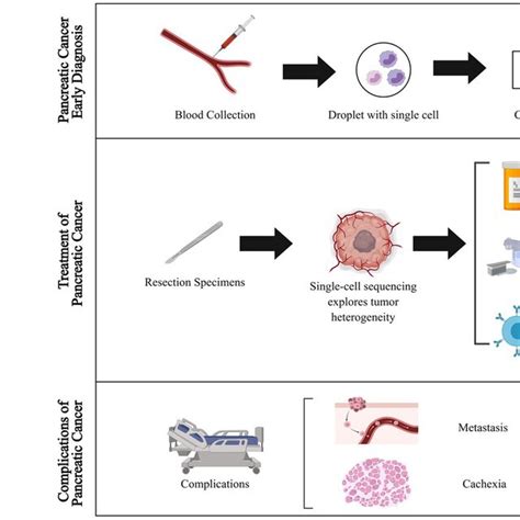 applications of single cell sequencing technology in the diagnosis and