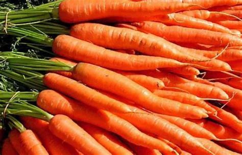 دراسة 3 جينات مسؤولة عن اللون البرتقالي للجزر