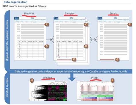 Geo Datasets里的数据的几种格式的说明 知乎