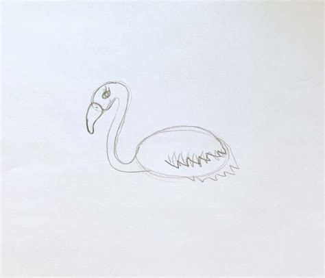 How To Draw A Flamingo With Feathers Basicdraw Com