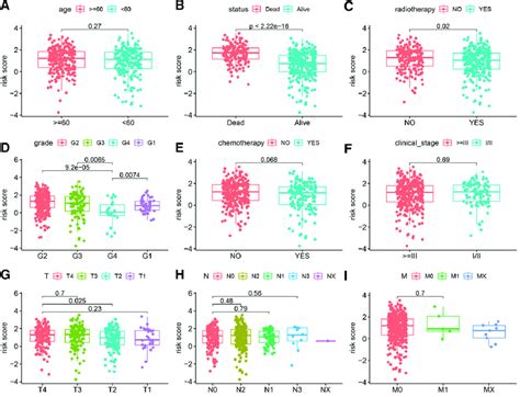 Clinical Pathological Correlation Of Risk Model Derived From Tmg Download Scientific Diagram