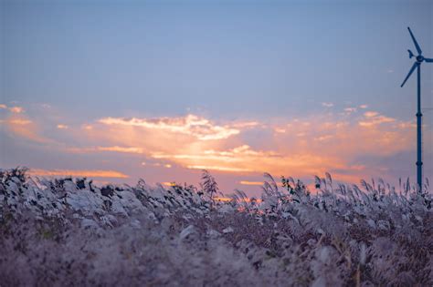 ‘서울 하루 여행 코스 추천 100배의 재미를 즐길 수 있는 서울 여행 [홍대편] 네이트뷰