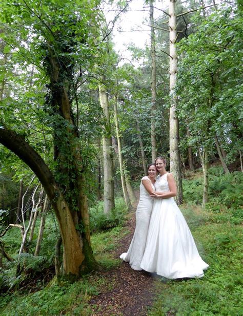 Same Sex Rural Wedding Stock Image Image Of Traditional 136572105