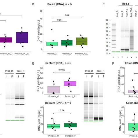 Optimization Of Total Rna And Dna Extraction Protocol A Comparison