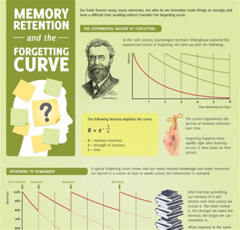 Memory Retention And The Forgetting Curve Infographic E Learning Infographics