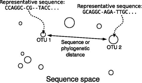 Quantification Of The Relative Roles Of Niche And Neutral Processes In Structuring