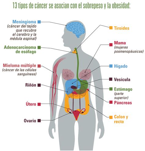 El cáncer y la obesidad