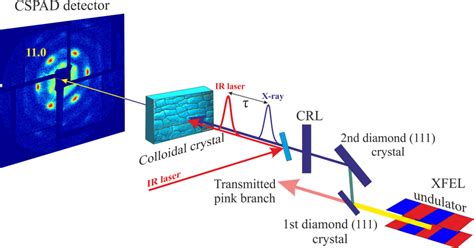 The Scheme Of The Pump Probe Experiment X Ray Free Electron Laser Download Scientific Diagram
