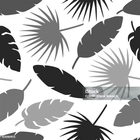 열대 야자수 잎 바나나 손바닥 모양의 잎의 매끄러운 패턴 실루엣 식물의 이국적인 컬렉션입니다 손으로 그린 식물 벡터 그림 인사말 카드 벽지 포장지 패브릭 개체 그룹에 대한