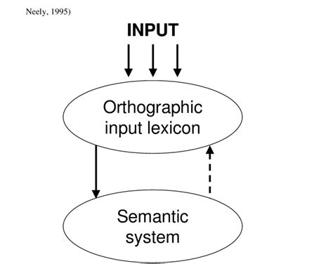 Aspects Of The Architecture In Visual Word Recognition Reproduced From