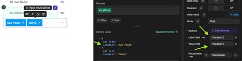 Multi Select Showing Value Field Instead Of Label Field Bug