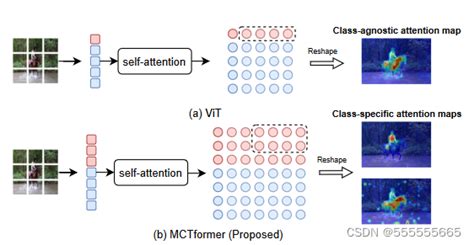 论文笔记：multi Class Token Transformer For Weakly Supervised Semantic Segmentation Csdn博客