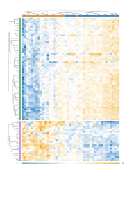 R Keep Column AND Row Order In A Data Set EXACTLY The Same As In The HEATMAP Stack Overflow