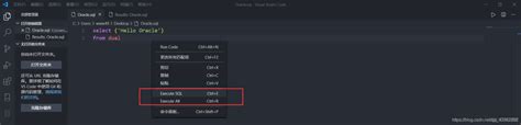 Oracle Developer Tools For Vs Code连接oracle51cto博客oracle Sql Developer连接 Oracle Developer Tools For Vs Code连接oracle51cto博客oracle Sql Developer连接