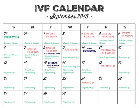 Ivf Cycle Timeline