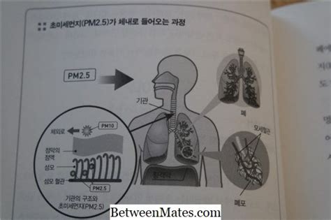 점액과 점액의 차이점 다른 사람 2025