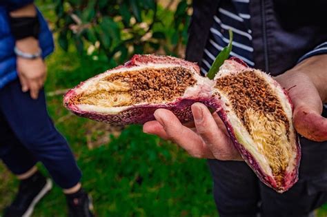 Sustainable Tourist Destinations And Operators Should Divert Visitors