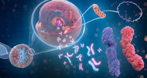 Indias Genomic Breakthrough Launch Of National Genome Data Sets And