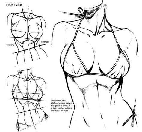 Nude Anime Sketches Ideas In Figure Drawing Reference Art Reference Poses Art
