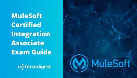 Mulesoft Certified Integration Associate Exam Guide By Forcedigest