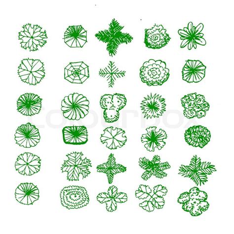 Tree Plan View Vector At GetDrawings Free Download