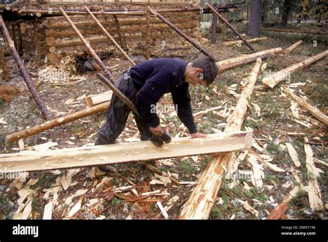 Man Stripping Logs To Build A Log Cabin Siberia Russia Stock Photo