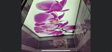 Опънати тавани Пловдив Строителни услуги Пловдив