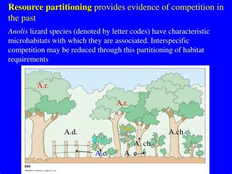Ppt Community Ecology Powerpoint Presentation Id 206040