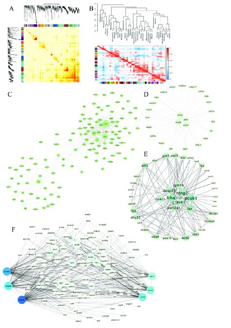 Wgcna Analysis Of Rna Seq And Network Visualization A The Heatmap Download Scientific