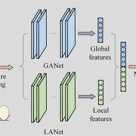 Flowchart Of The Proposed Approach A Ppg Signals Are Collected Through