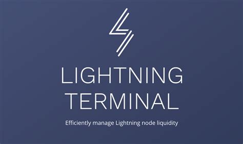 lightning terminal v0 11 0 alpha released
