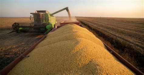 How To Calculate Fill Rates The Role Of OTIF For Improvement